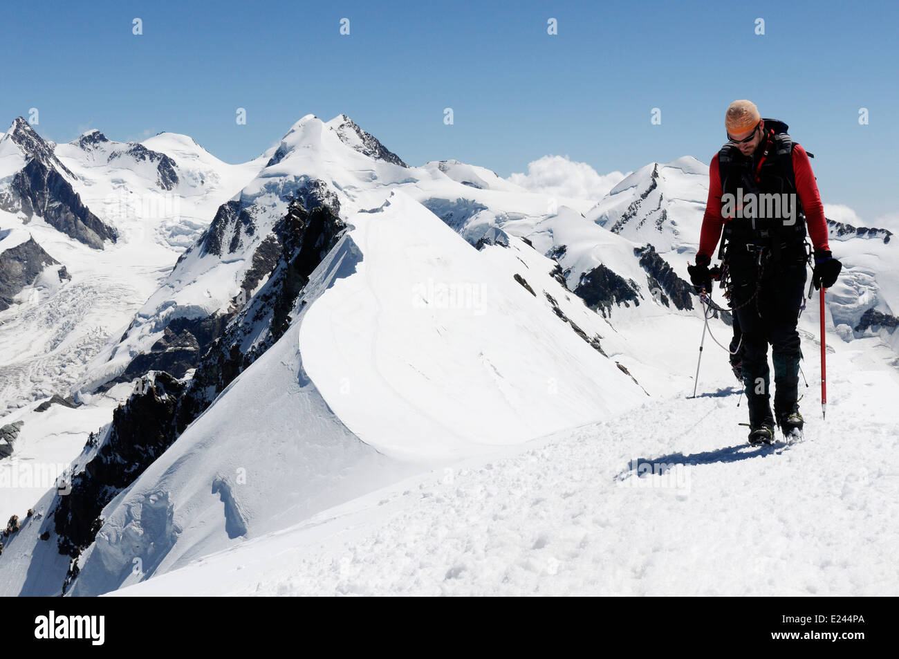 Climbers on the superb airy traverse of the Breithorn in the Swiss Alps ...