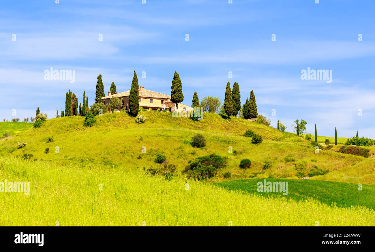 Tuscany at spring Stock Photo - Alamy