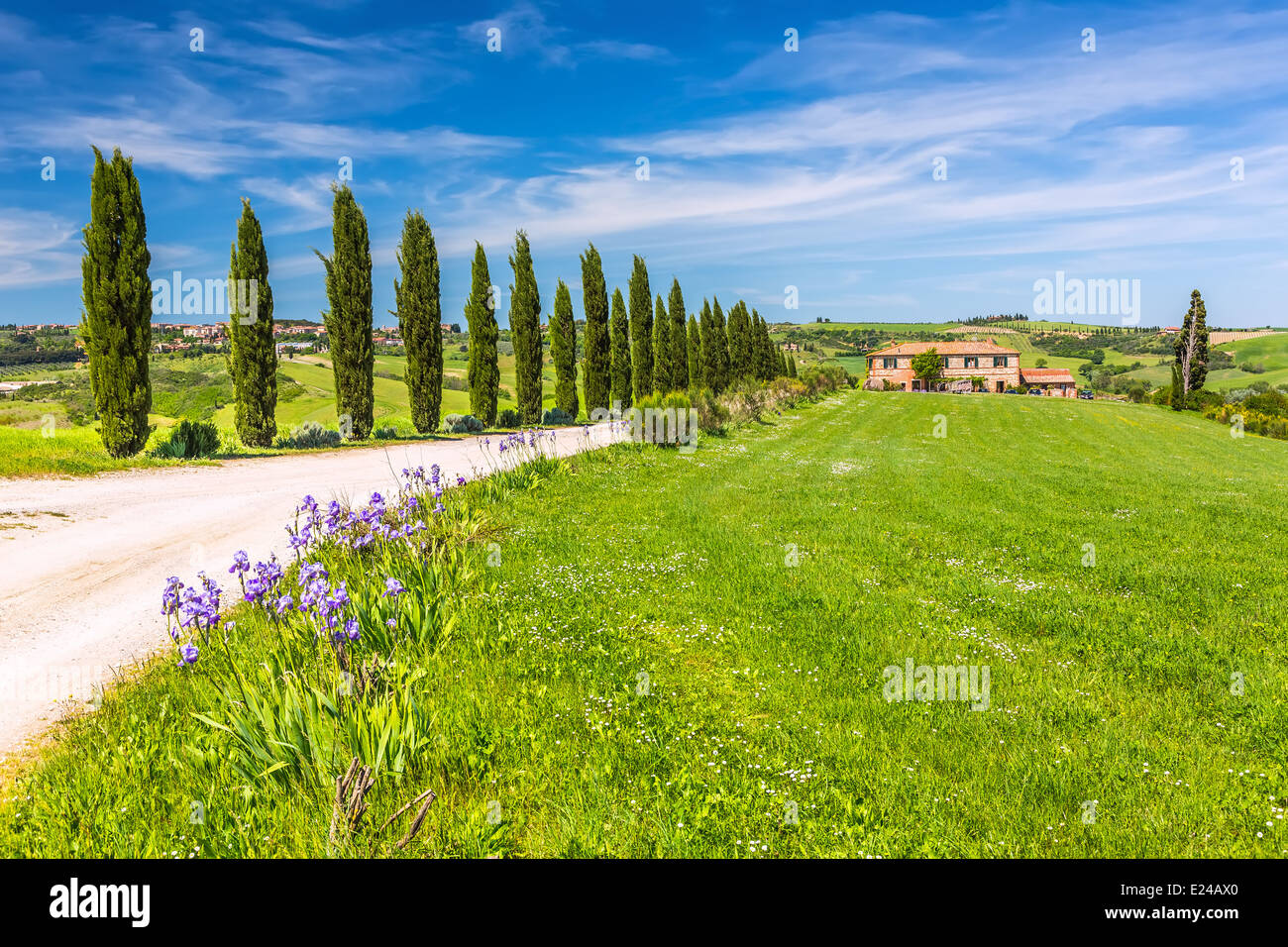 Tuscany at spring Stock Photo - Alamy