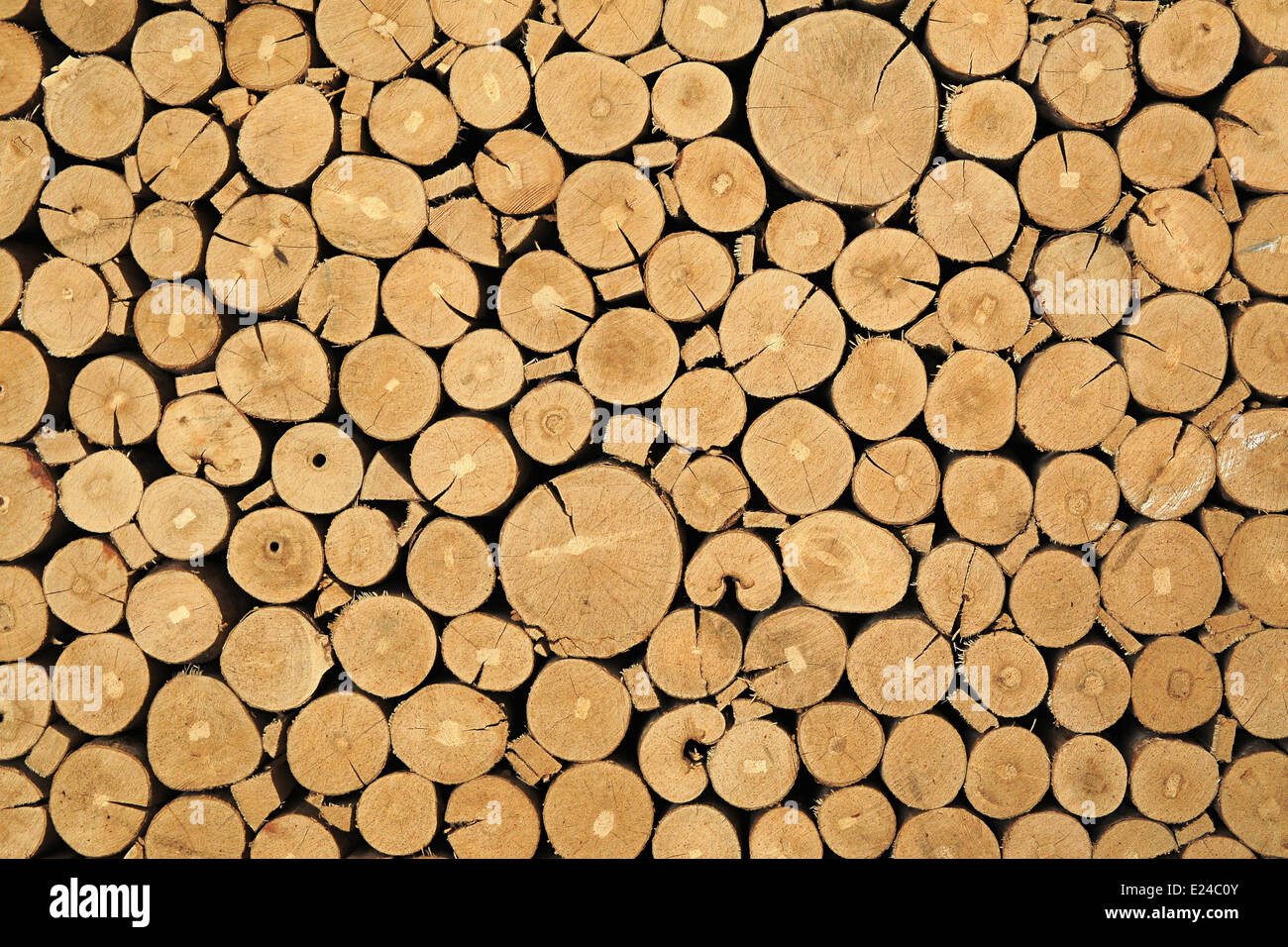 Texture of cut timber logs Stock Photo - Alamy