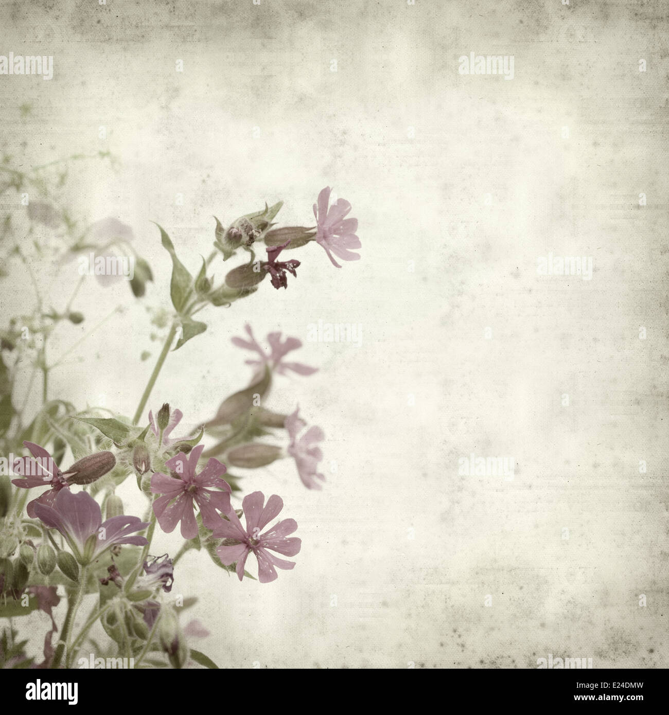 textured old paper background with wild flower bouquet Stock Photo - Alamy