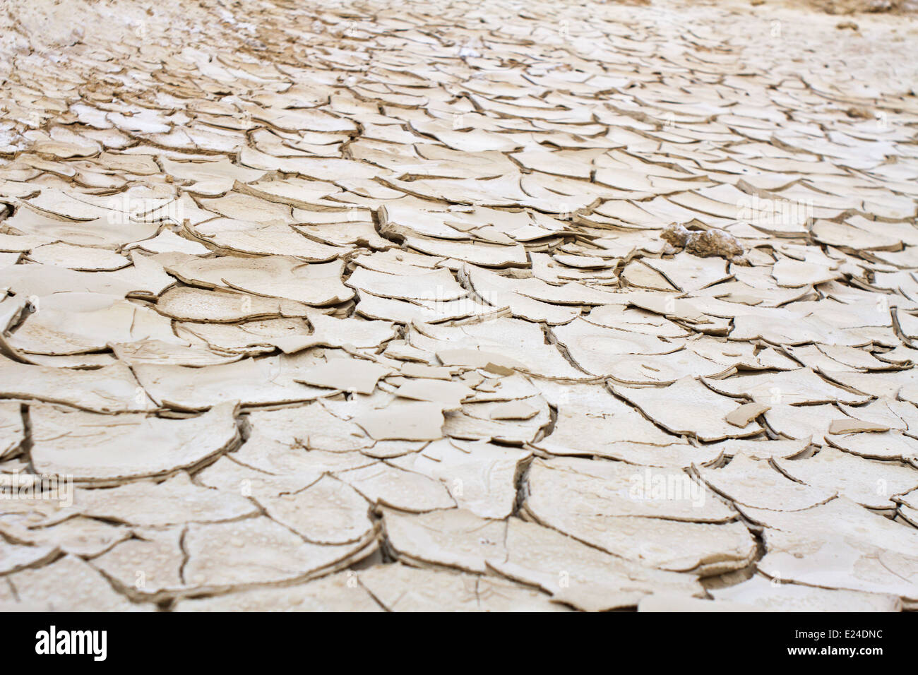 Beautiful photo sundried and cracked earth Stock Photo - Alamy