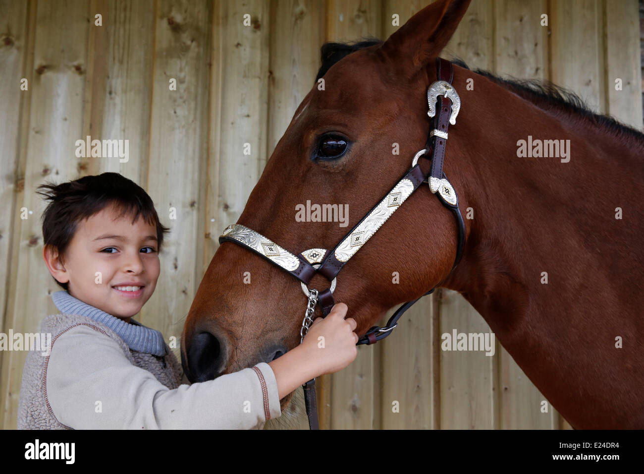 Boy and horse Stock Photo - Alamy
