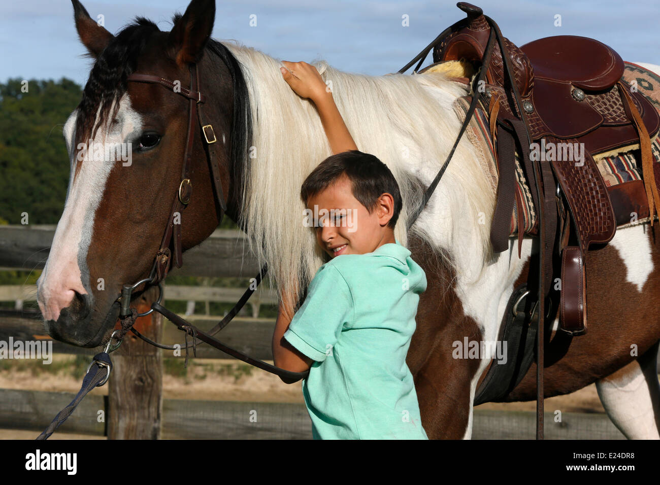 Boy and horse Stock Photo - Alamy