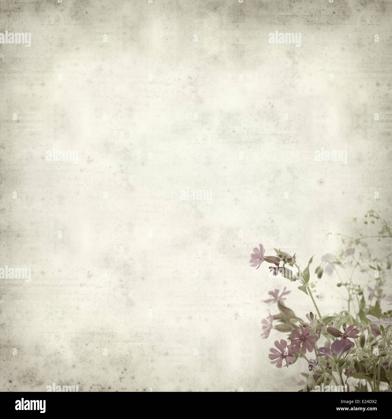 textured old paper background with wild flower bouquet Stock Photo - Alamy
