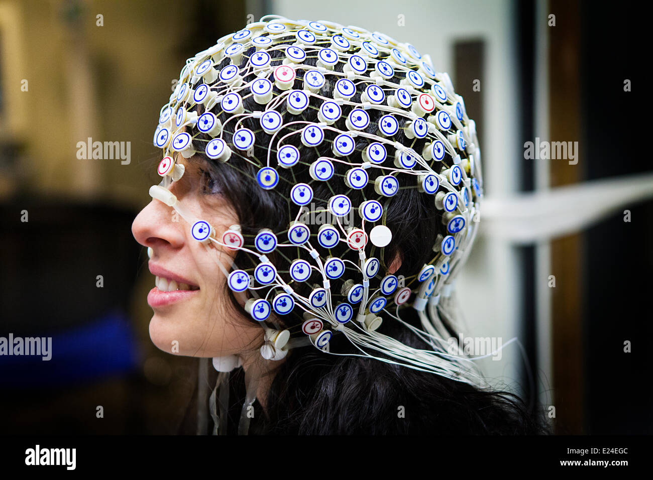 Study of brain Stock Photo - Alamy