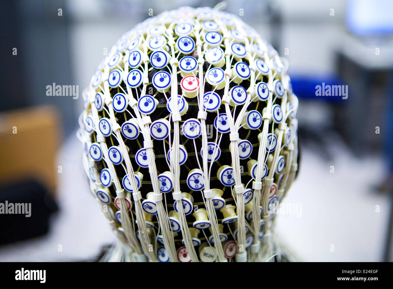 Close study humans human hi-res stock photography and images - Alamy