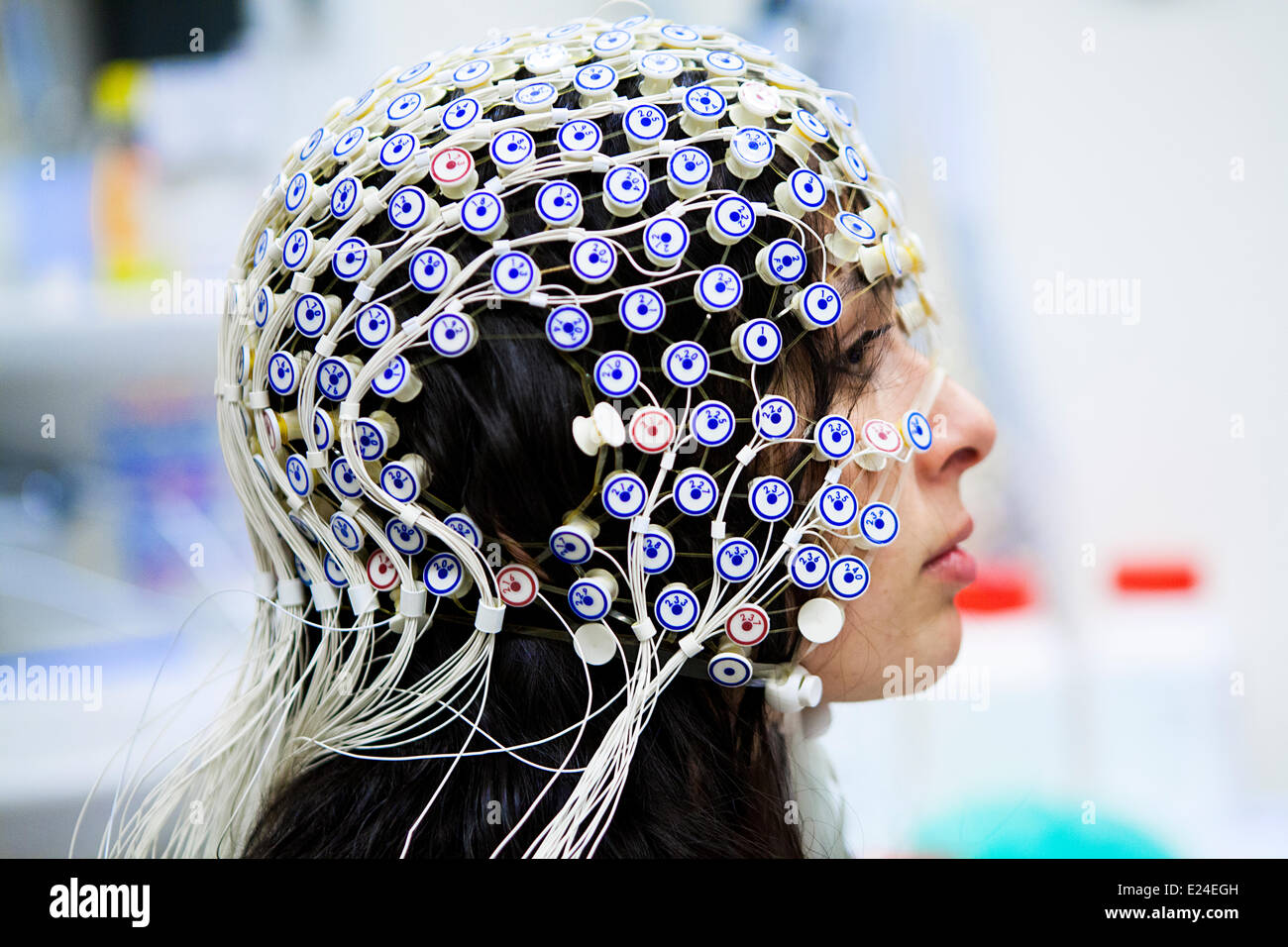 Study of brain Stock Photo - Alamy