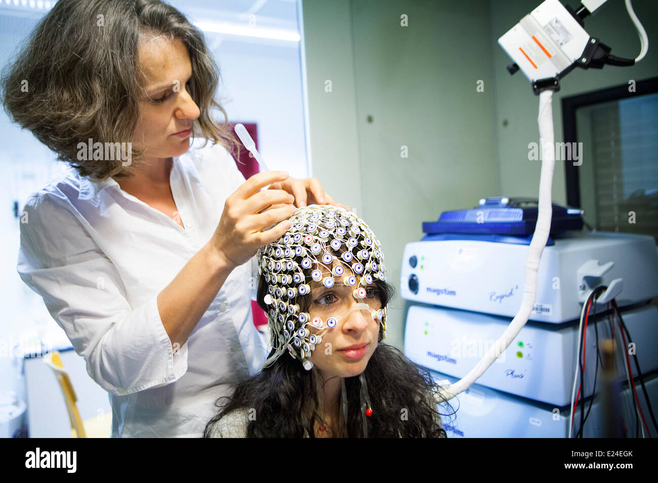 Study of brain Stock Photo - Alamy