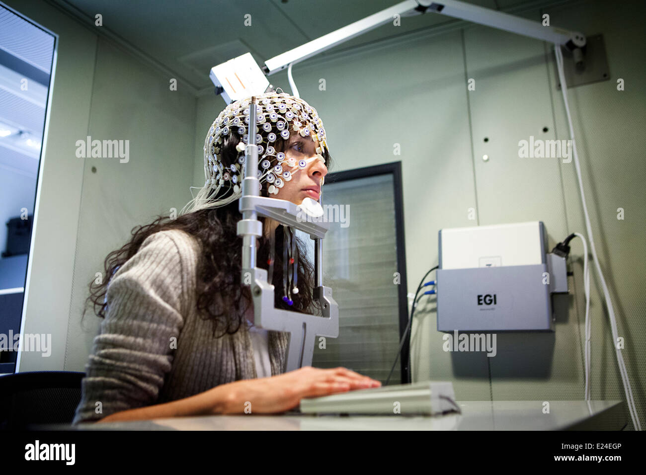 Study of brain Stock Photo - Alamy