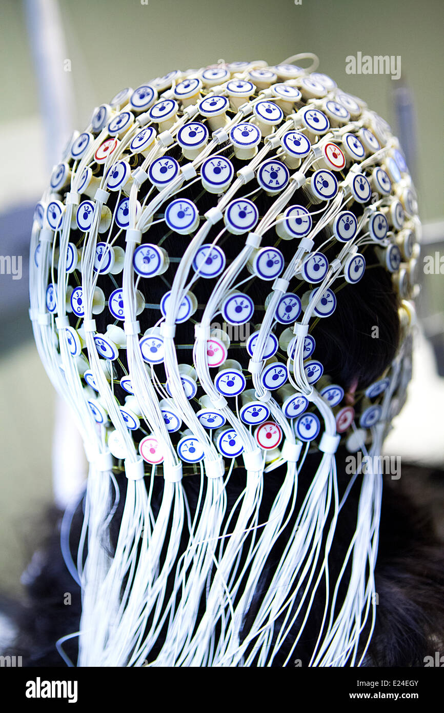 Study of brain Stock Photo - Alamy