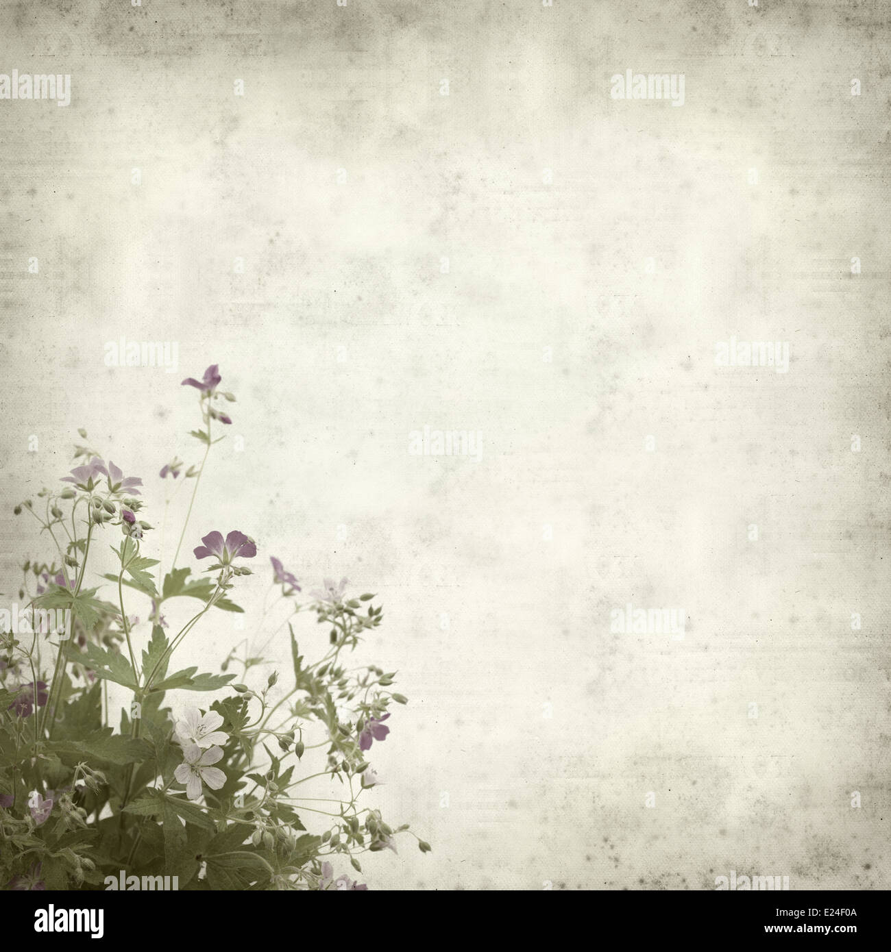 textured old paper background with wild flower bouquet Stock Photo - Alamy