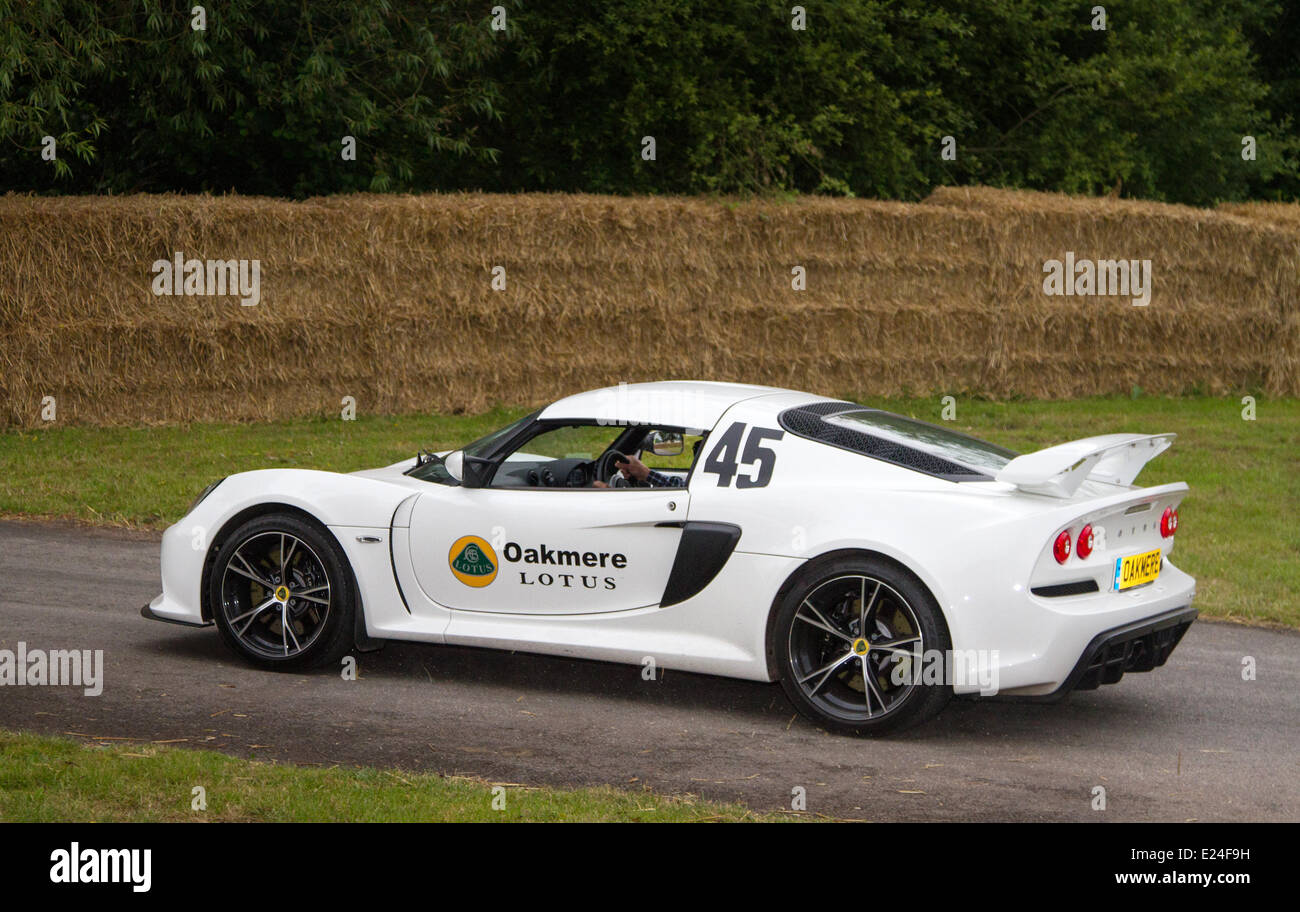 White Lotus Sports Racing 45 at the Cholmondeley Pageant of Power. The ...