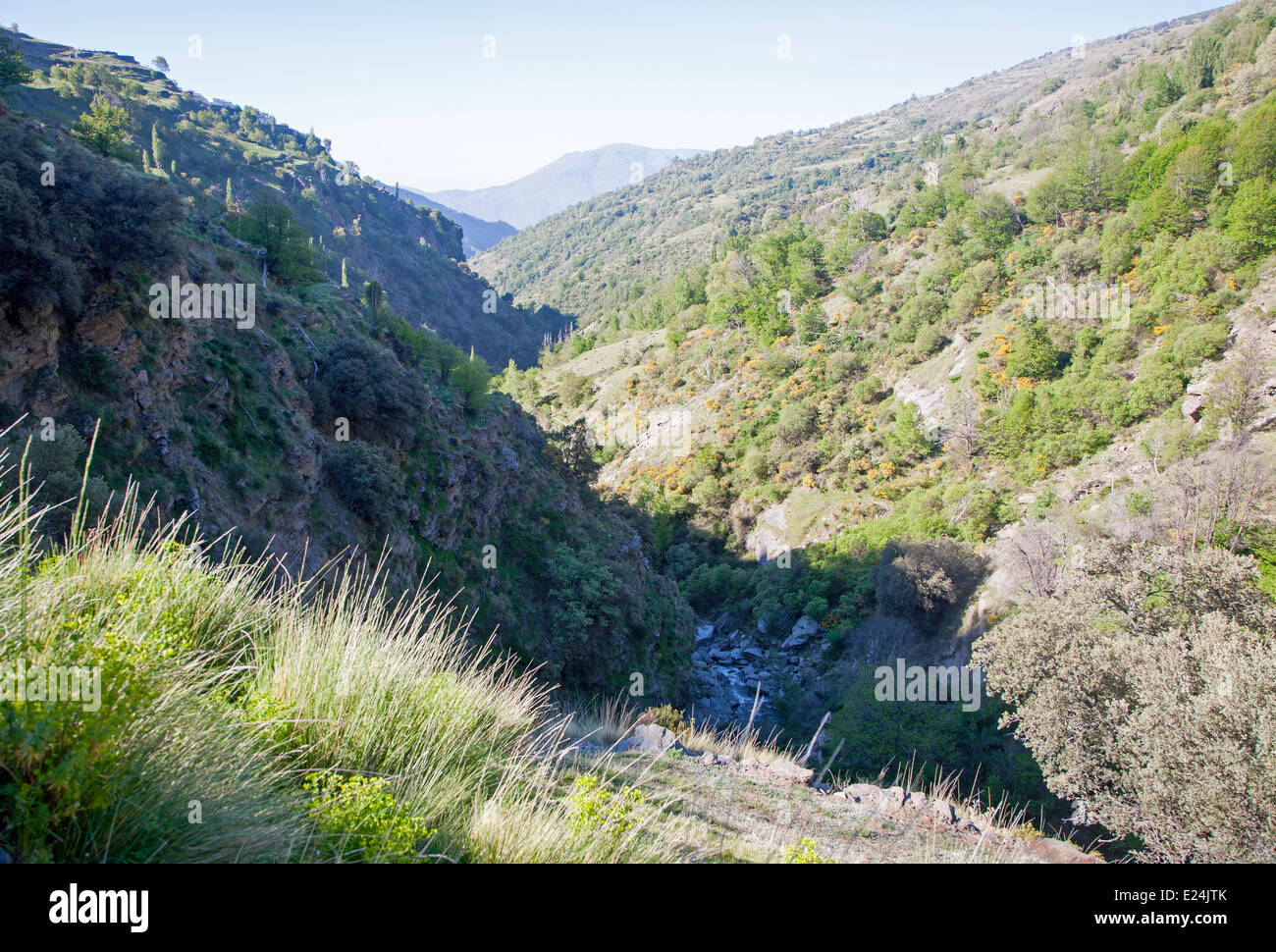 Landscape of the River Rio Poqueira gorge valley, High Alpujarras ...