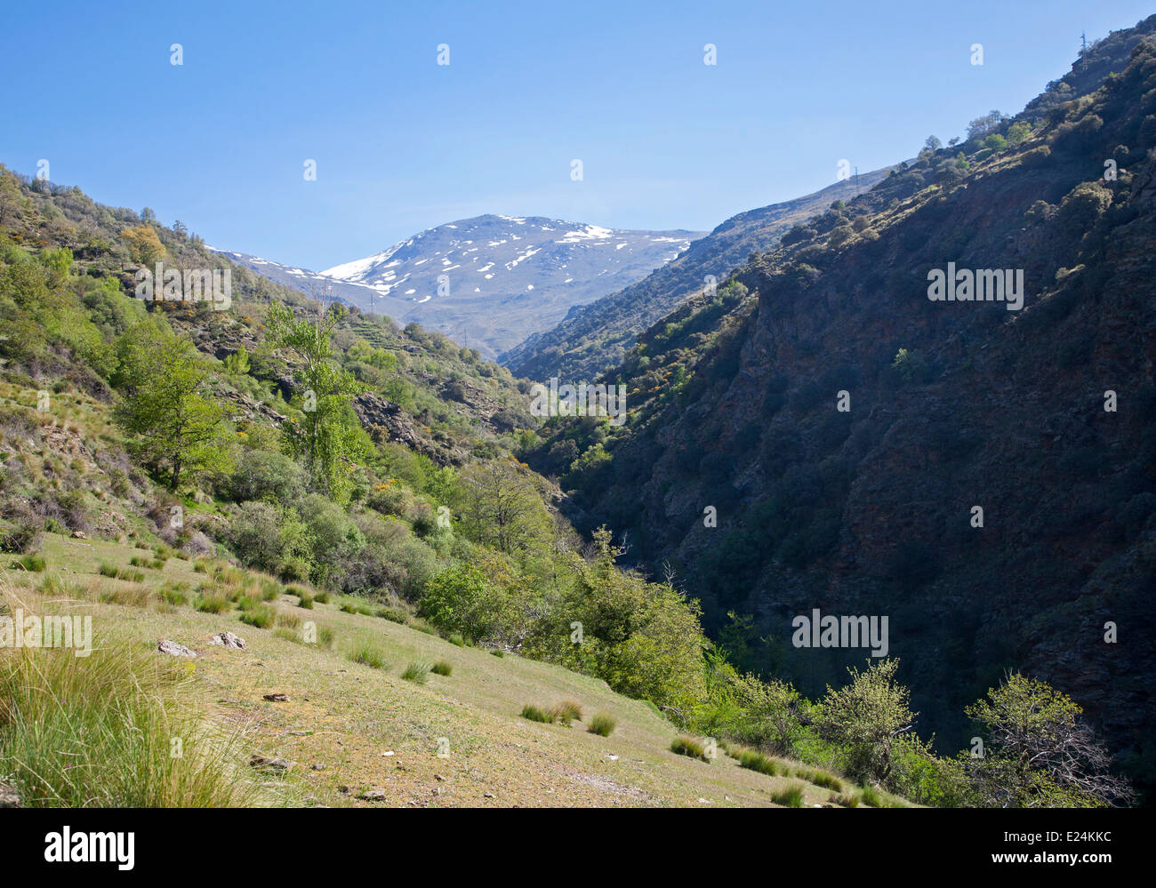 River rio poqueira gorge valley hi-res stock photography and images - Alamy
