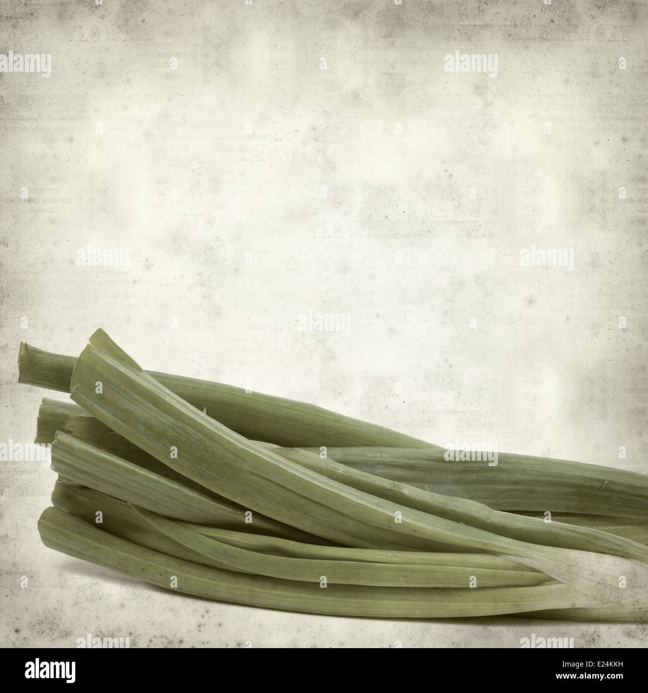 textured old paper background with spring onion Stock Photo - Alamy