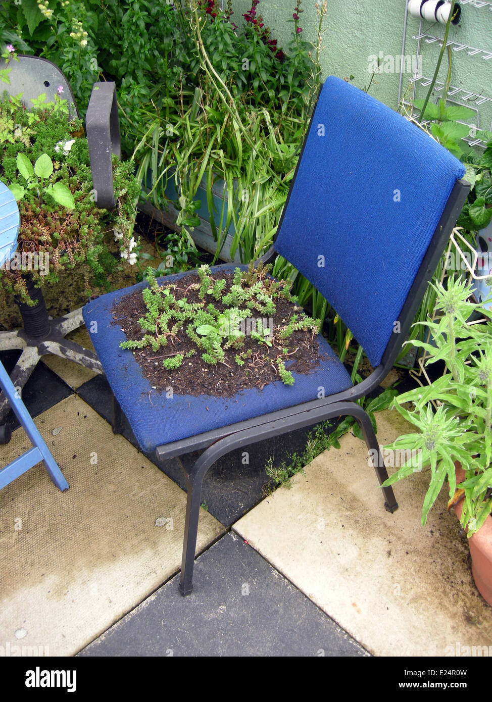 Random planting hi-res stock photography and images - Alamy