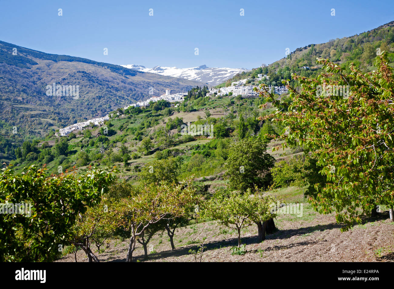 Landscape of the River Rio Poqueira gorge valley, High Alpujarras ...