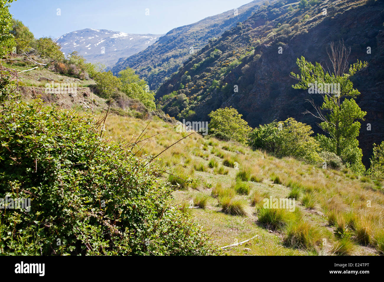 River rio poqueira gorge valley hi-res stock photography and images - Alamy