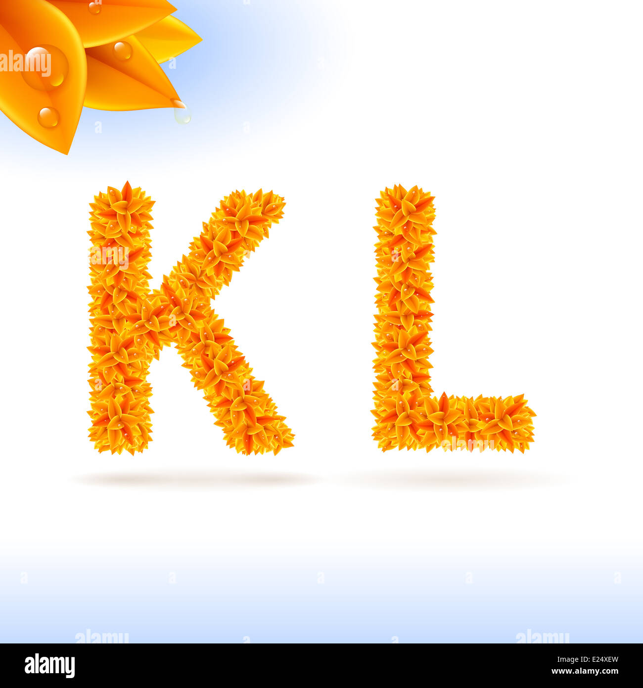 Sans serif font with orange leaf decoration on white background. K and ...