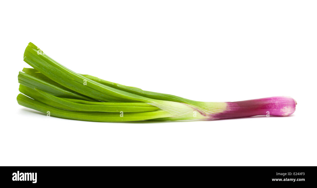 purple spring onions isolated on white Stock Photo - Alamy