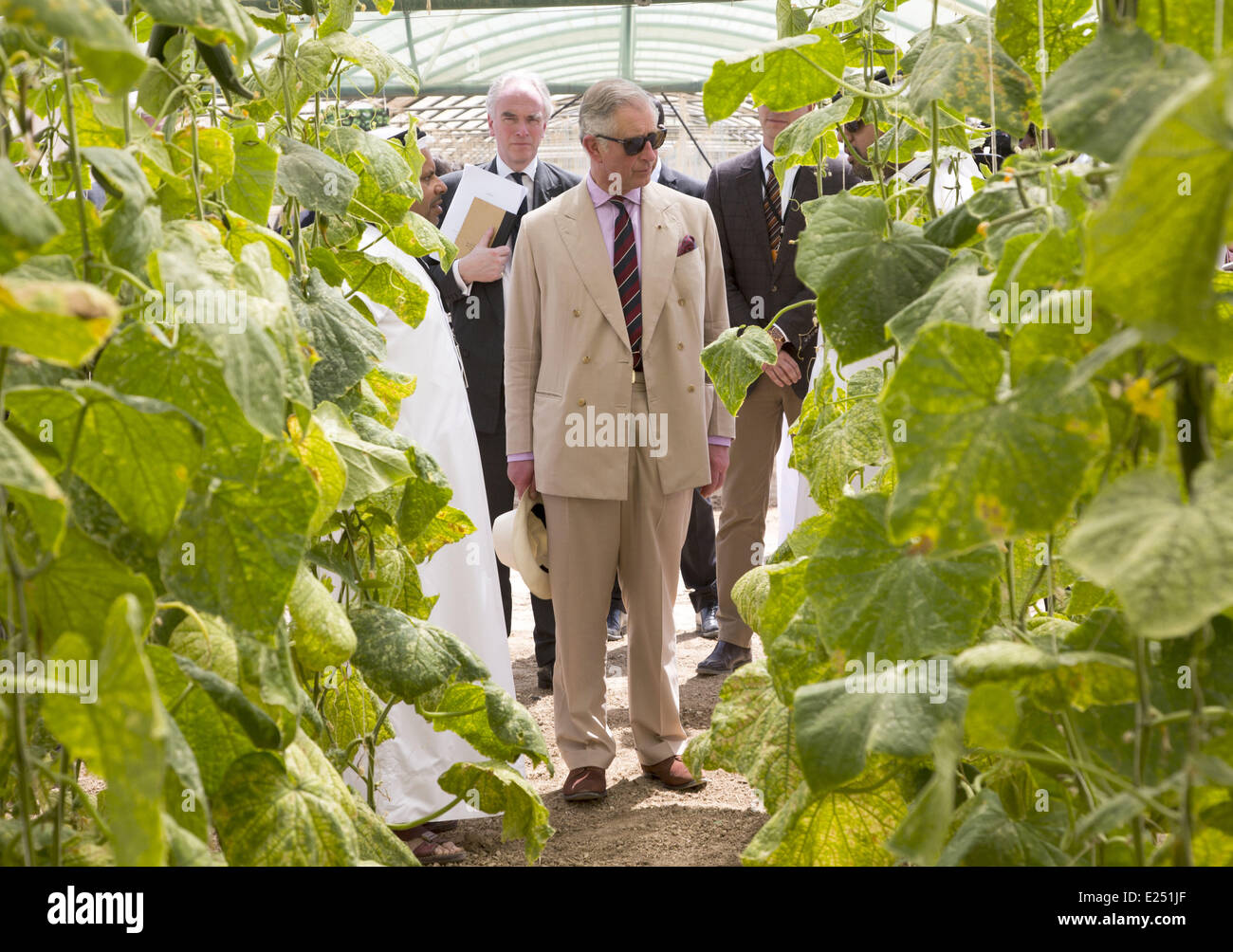 Prince Charles, HRH The Prince of Wales visits the Al Safwa farm in the ...