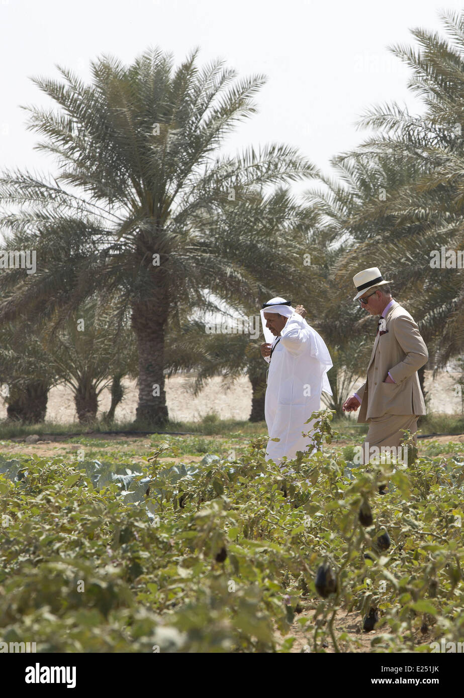 Charles prince wales visits qatar hi-res stock photography and images ...