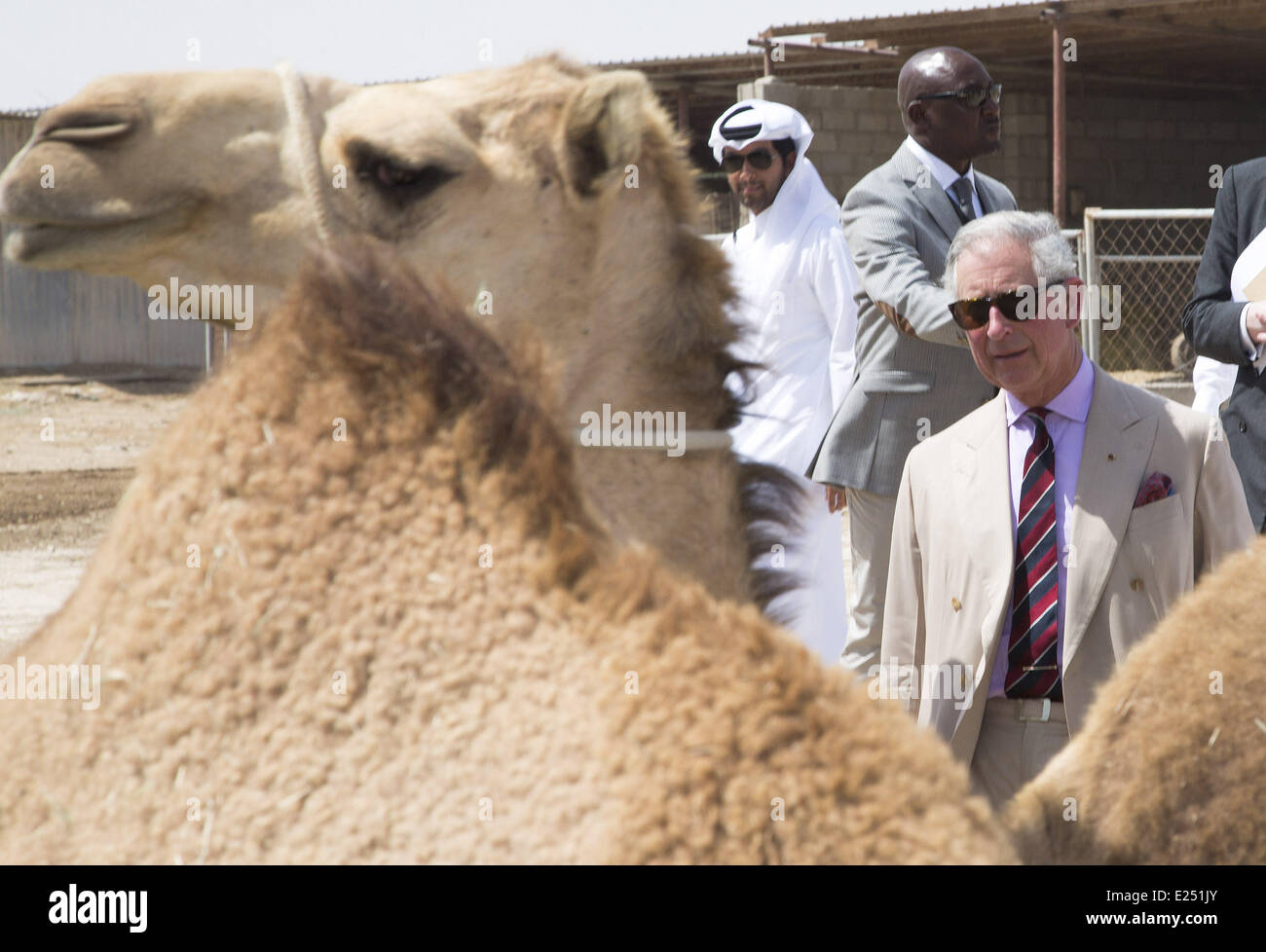 Prince Charles, HRH The Prince of Wales visits the Al Safwa farm in the ...