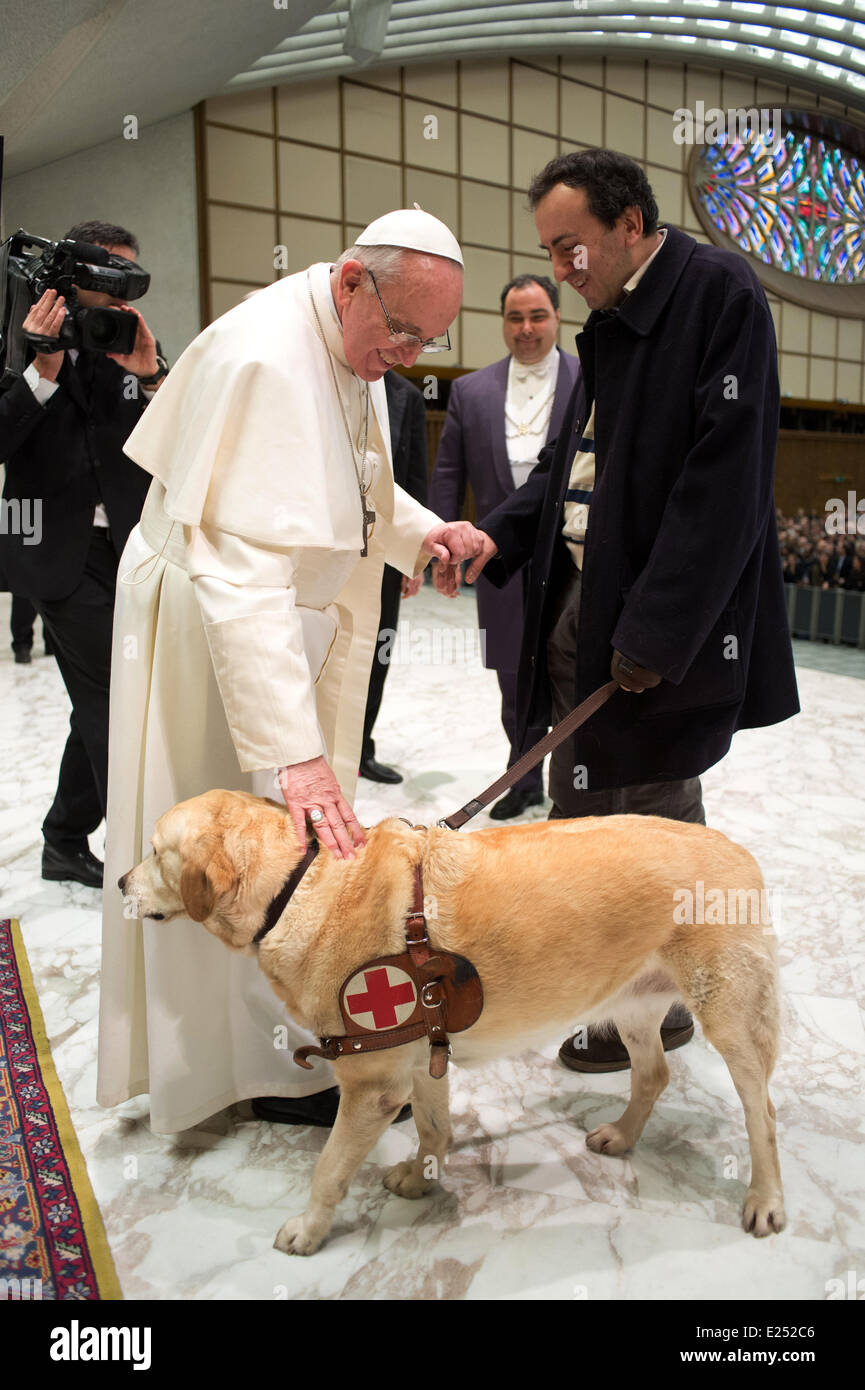 Pope Francis I strokes a guide dog for the visually impared during a ...