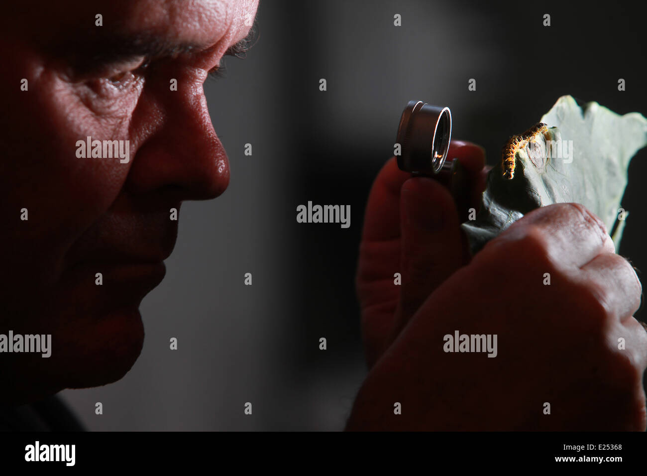 Graham walker hi-res stock photography and images - Alamy
