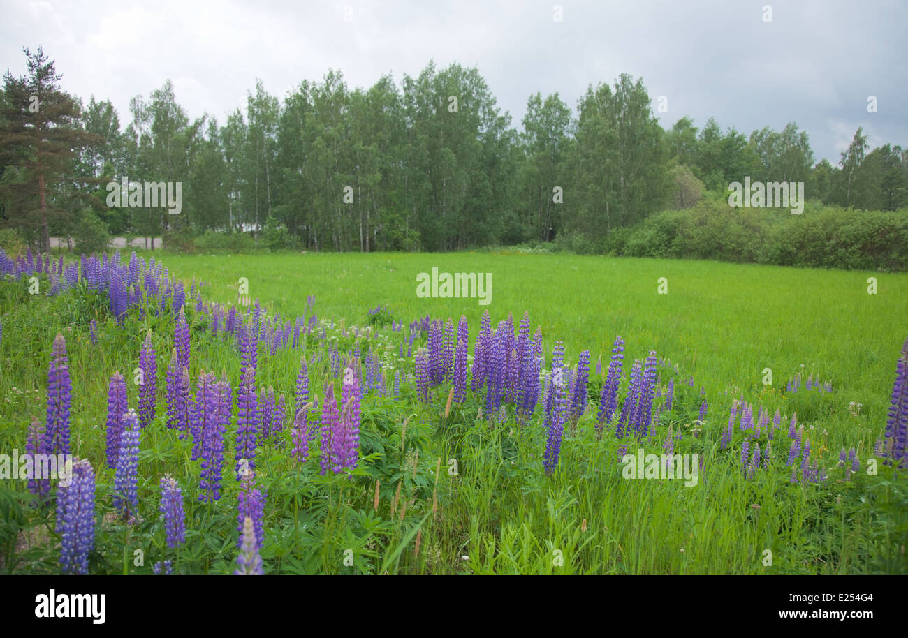 Roadside background hi-res stock photography and images - Alamy