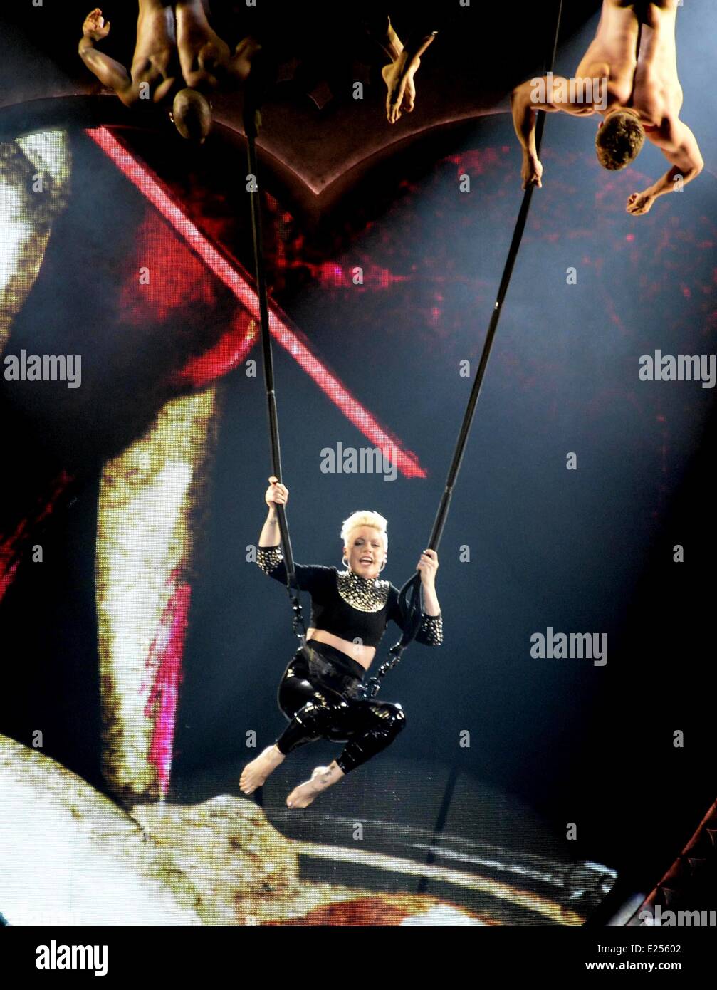 Pink performing live in concert at Bercy Featuring: Pink,Alecia Moore ...