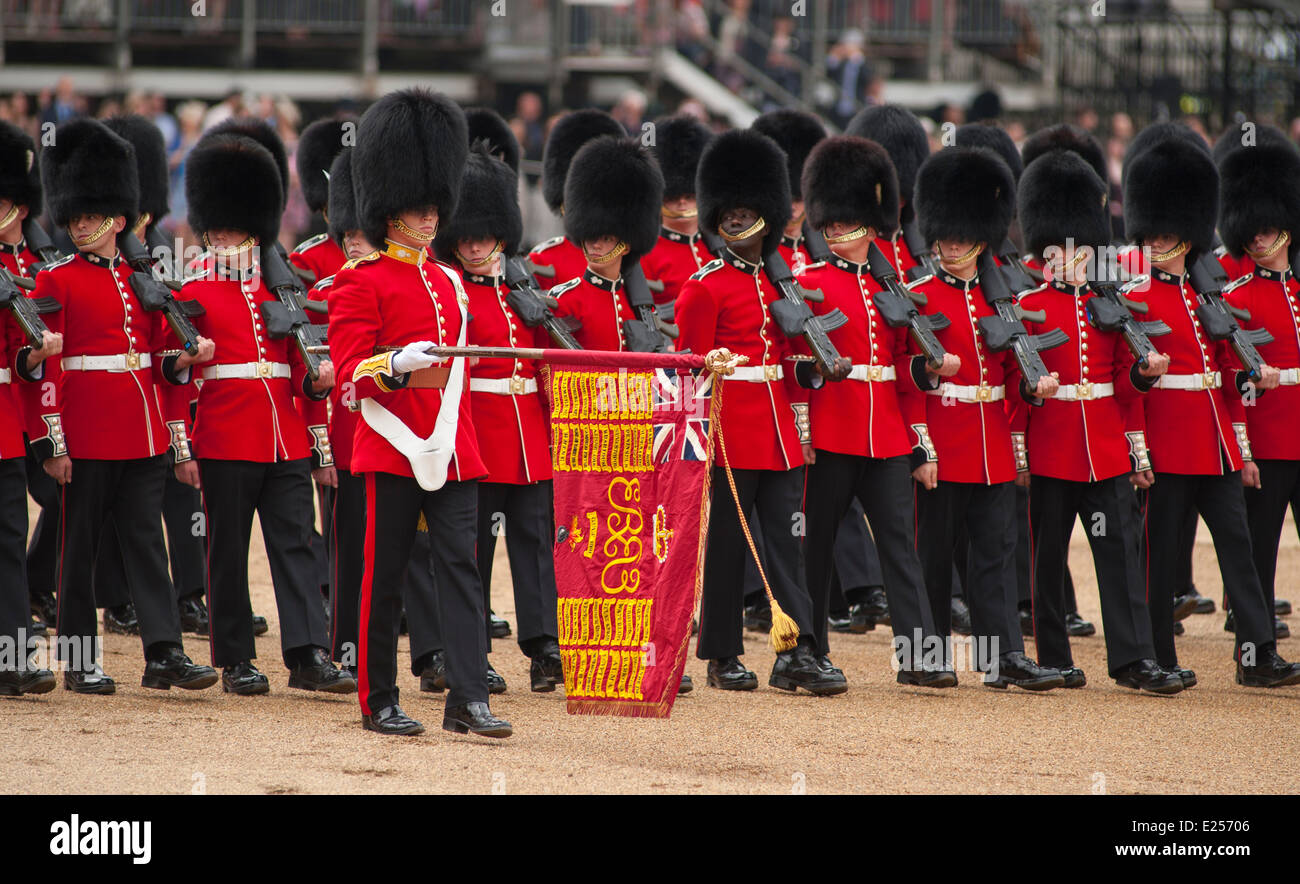 Nijmegen Company Grenadier Guards colour is Trooped past The Sovereign ...