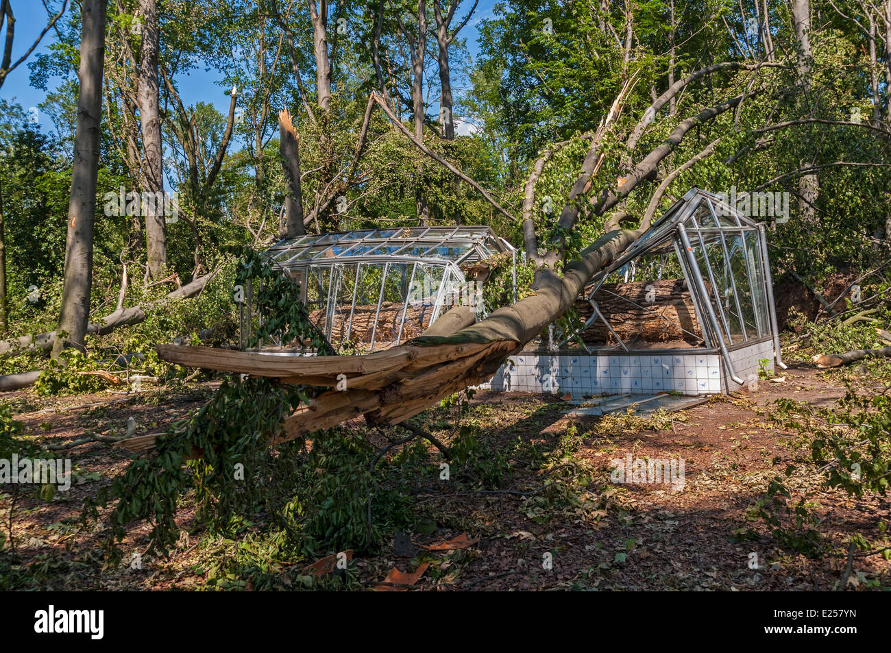 Storm damage in the Hofgarten Park after "Ela" hit Düsseldorf, NRW ...