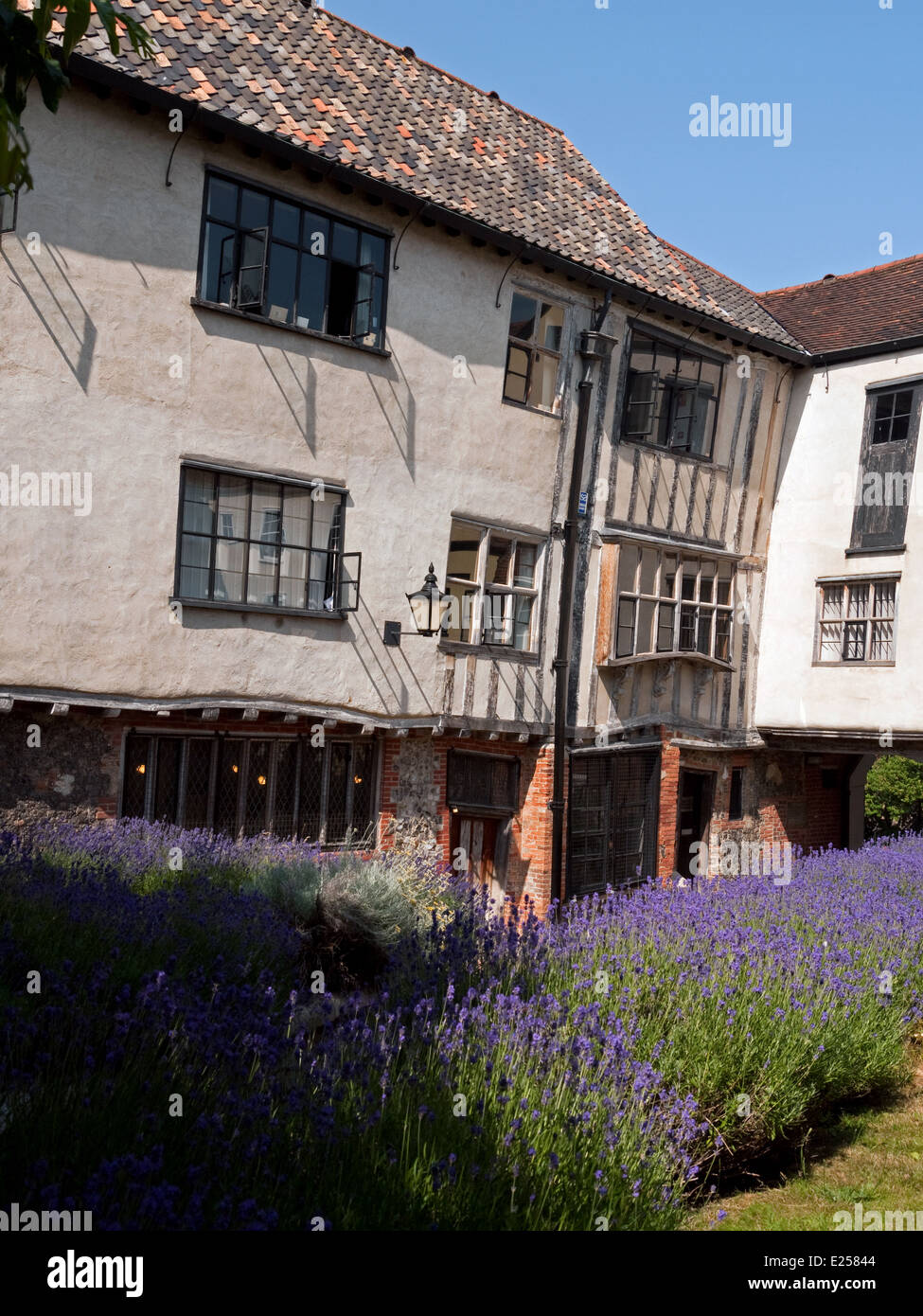Medieval Half Timbered Building in Tombland Alley, Norwich, Norfolk ...