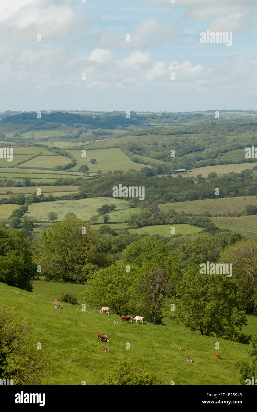 A view out over the west Dorset countryside from Powerstock village ...