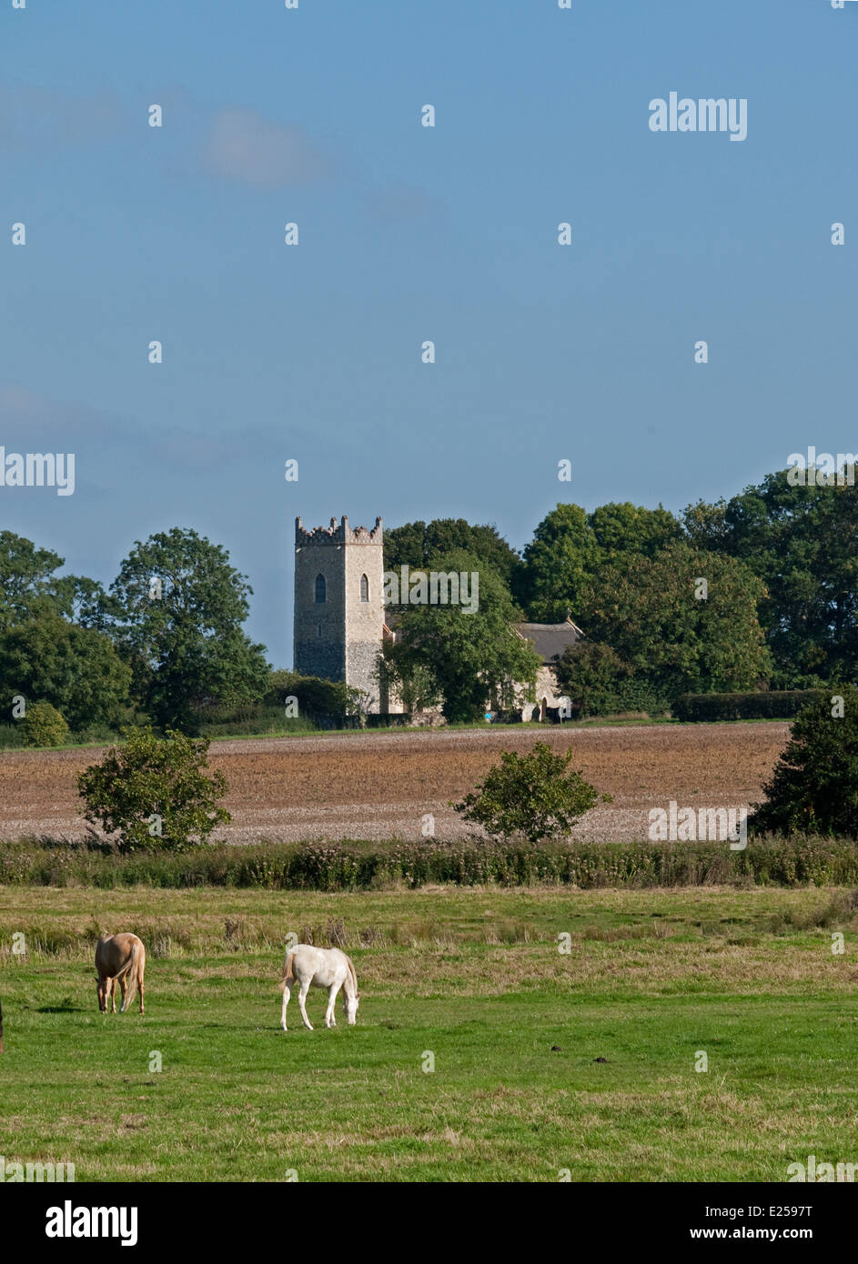 Norfolk countryside hi-res stock photography and images - Alamy