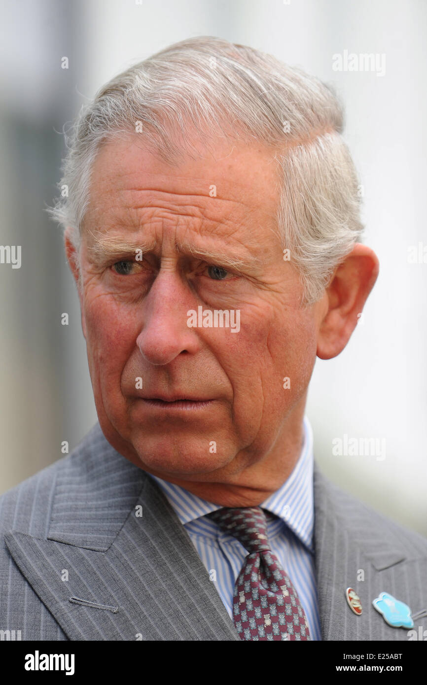 The prince of wales and harry wardill hi-res stock photography and ...