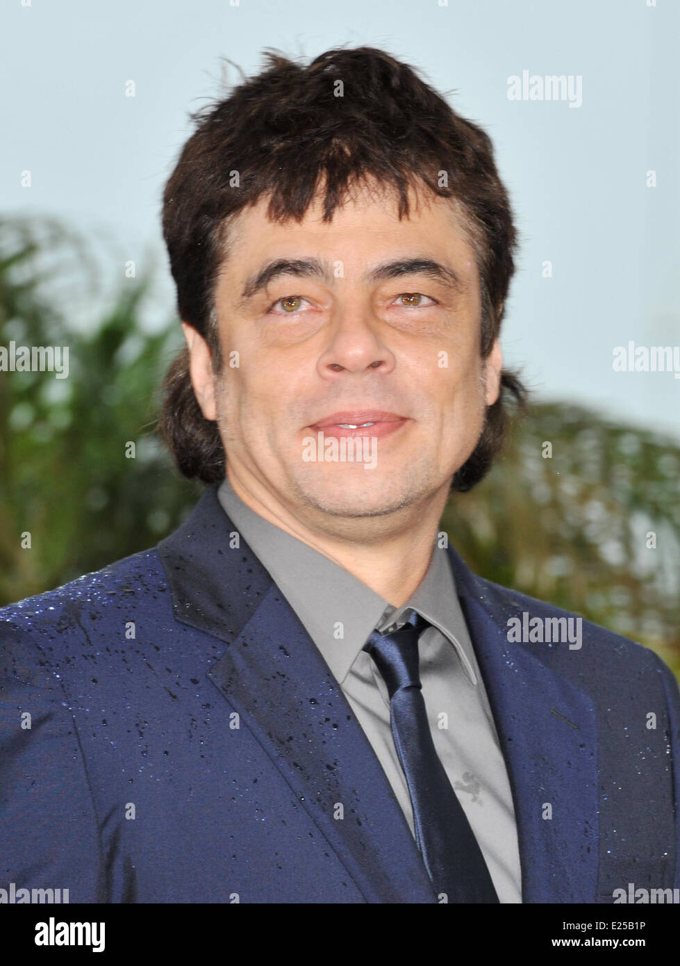 66th Cannes Film Festival - 'Jimmy P: Psychotherapy of a Plains Indian ...