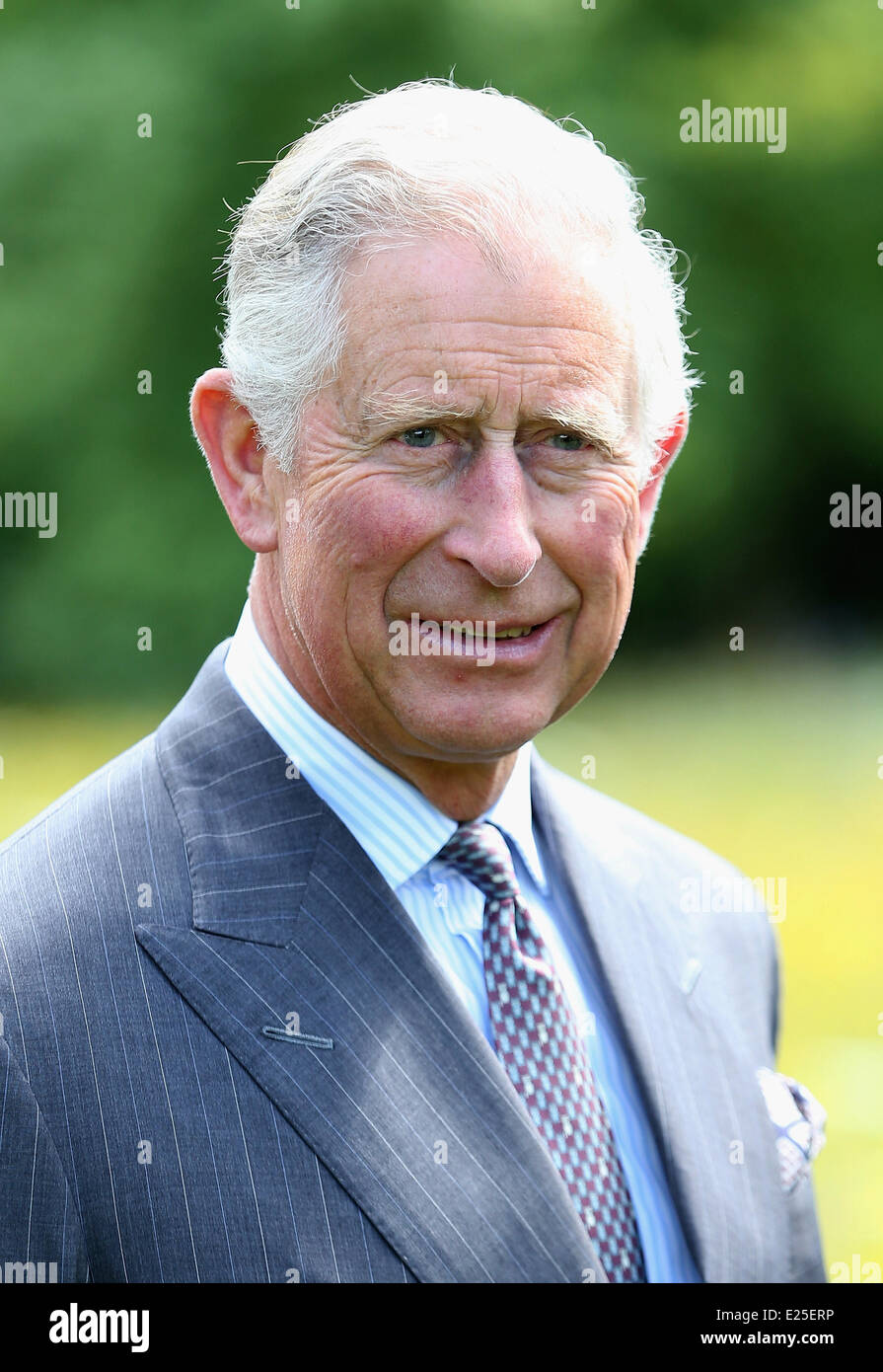 Charles, Prince of Wales poses in the grounds of Highgrove House during ...