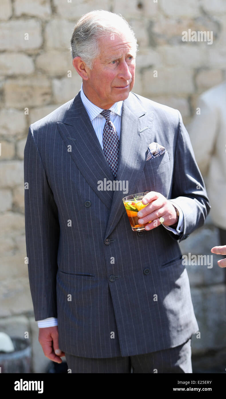 Prince charles grey suit hi-res stock photography and images - Alamy