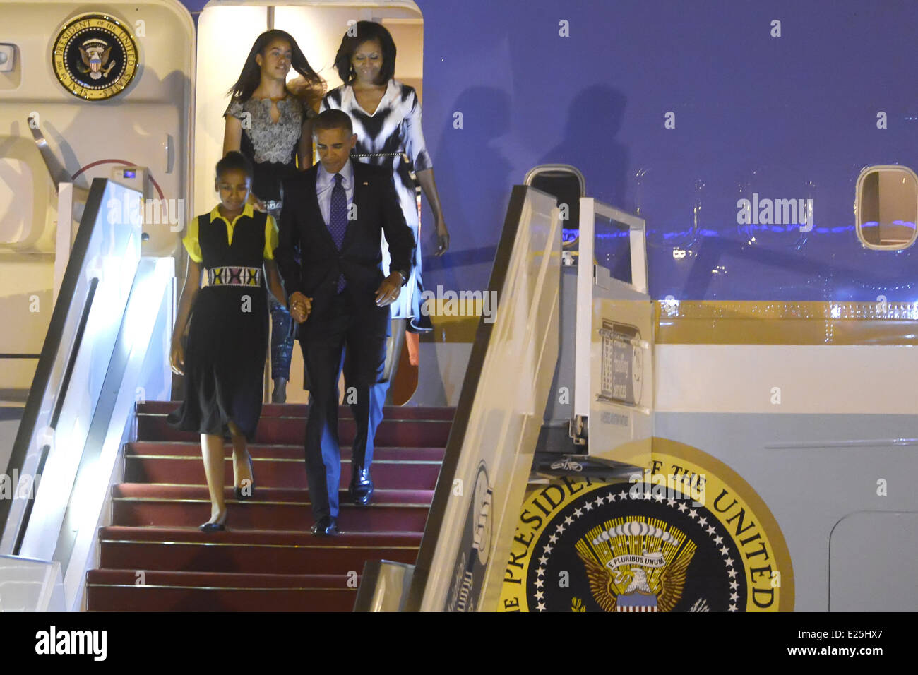 Michelle Obama Family Tree