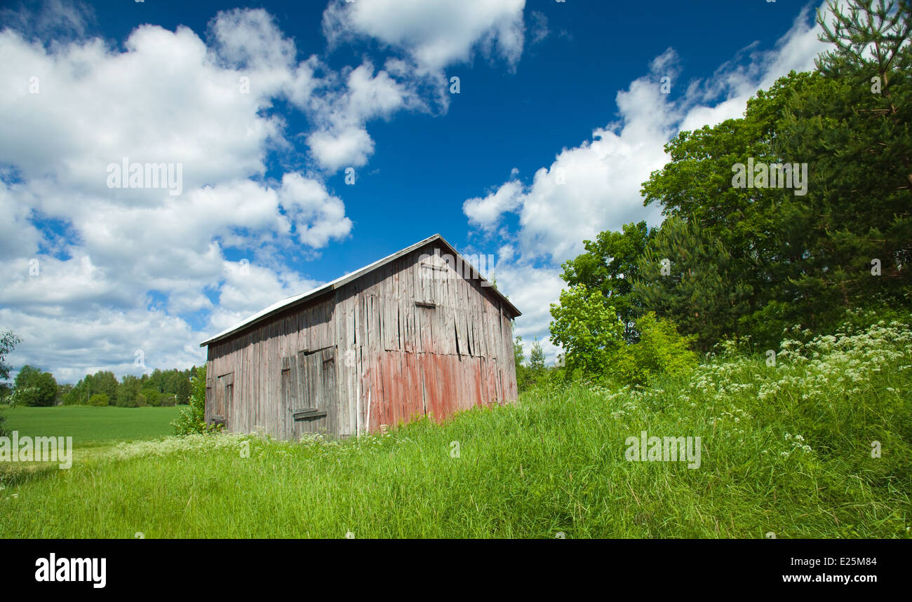 Finnish summer landscape with old barn Stock Photo - Alamy