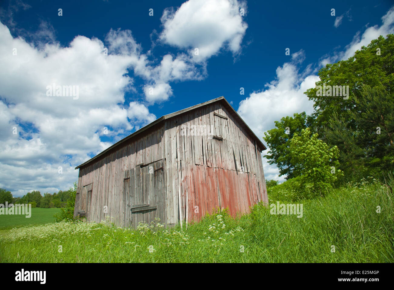 Old finnish forest hi-res stock photography and images - Alamy