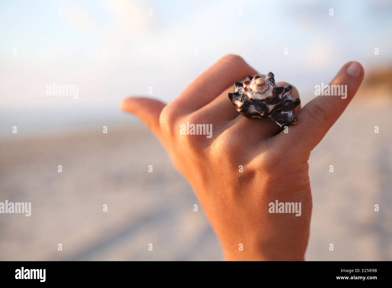 Ring of shells hi-res stock photography and images - Alamy