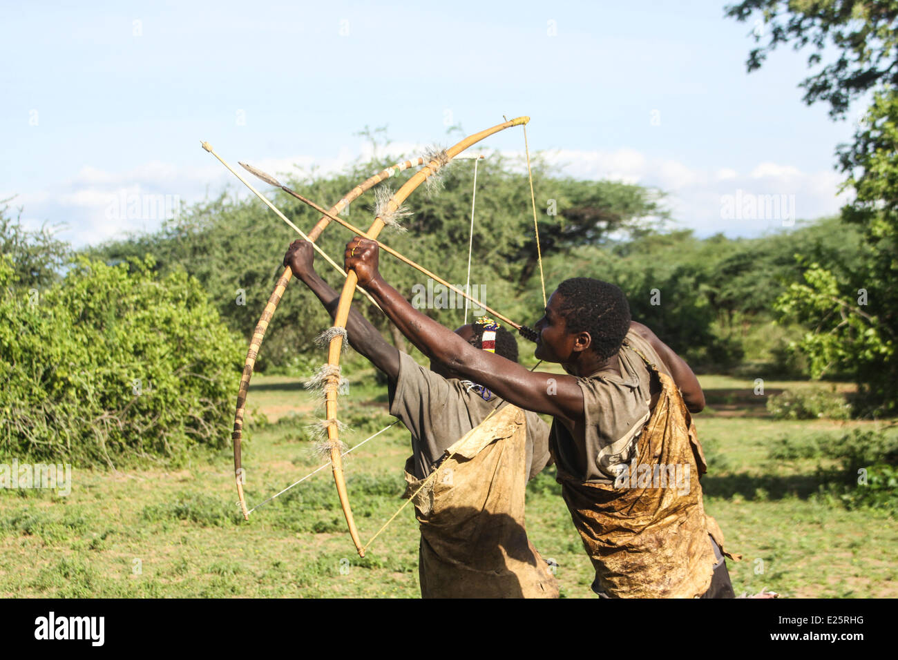 Hadzabe man hunting with bow and arrow hi-res stock photography and ...