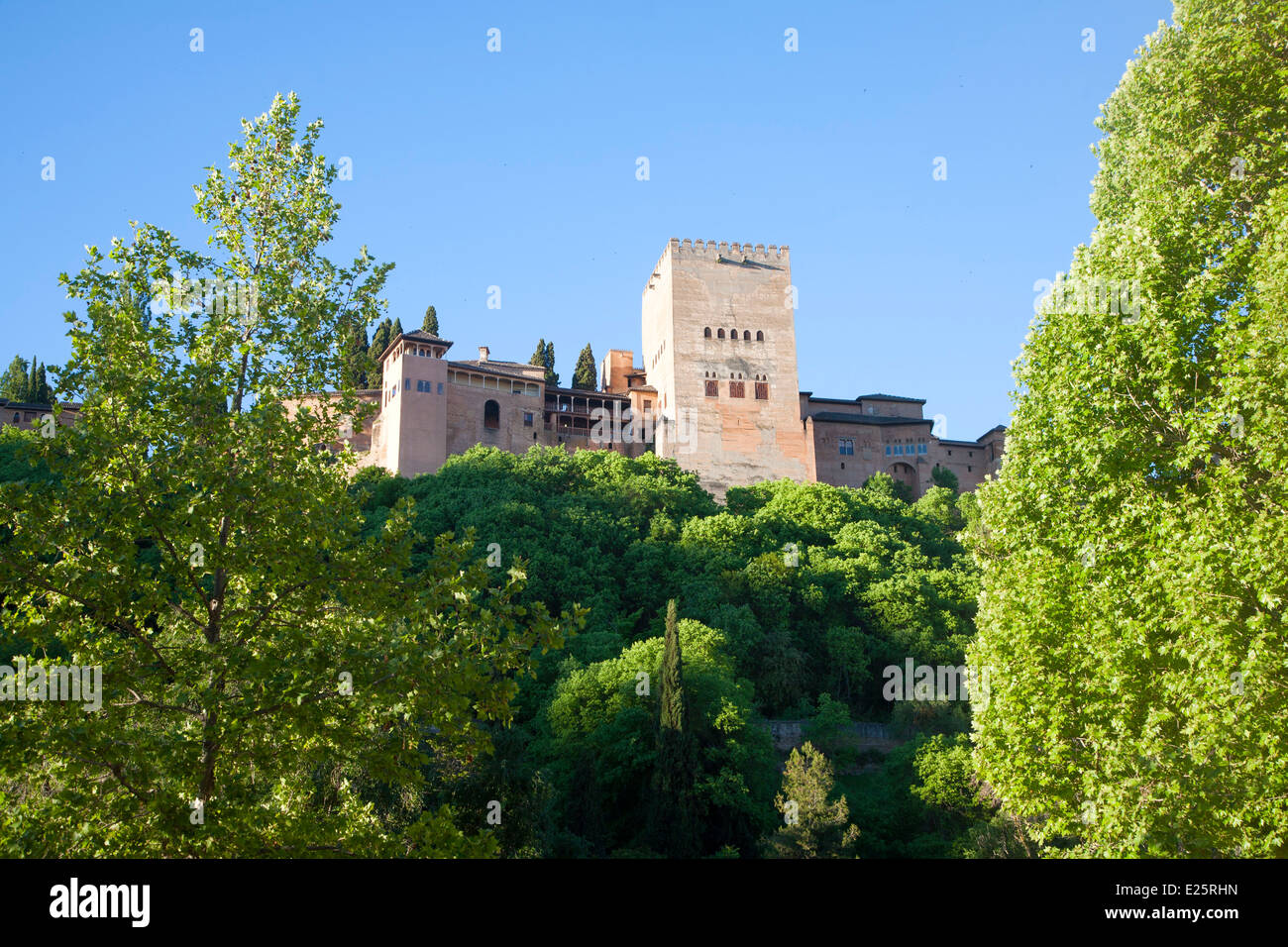 Trees at the alhambra hi-res stock photography and images - Alamy