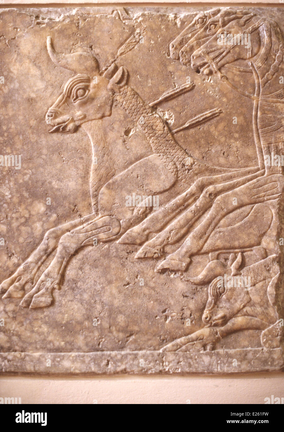 Assyrian Art High Resolution Stock Photography and Images - Alamy