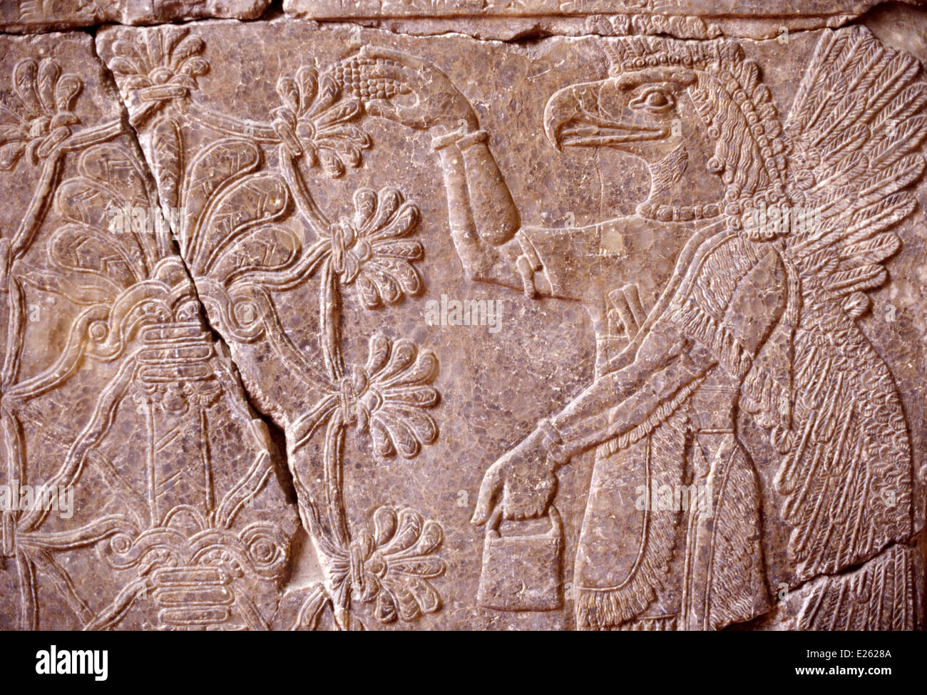 Assyrian Bas Reliefs High Resolution Stock Photography and Images - Alamy