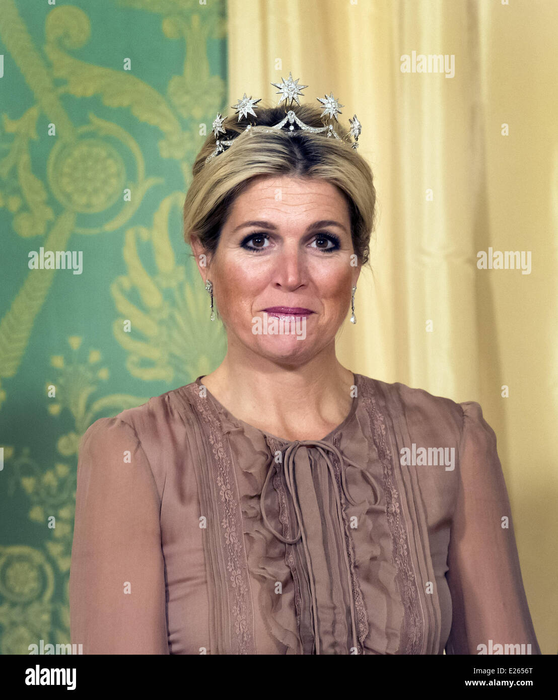Queen Maxima pose for the media before the Statebanquet at Palace ...